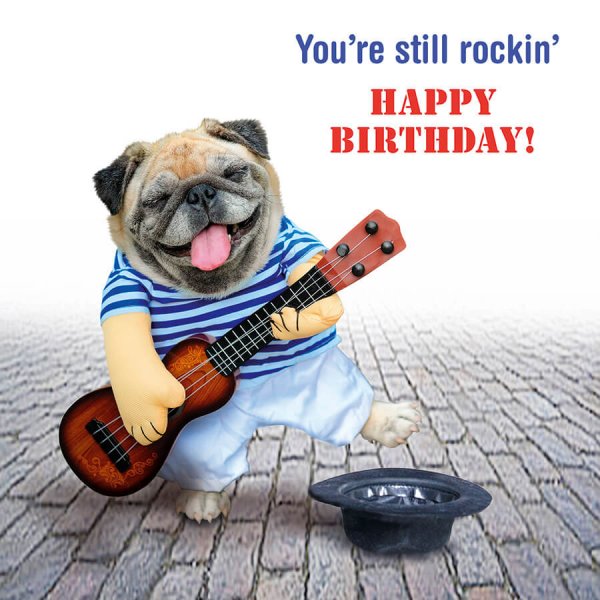 Baroque Greeting Cards range - Anon Greeting Cards